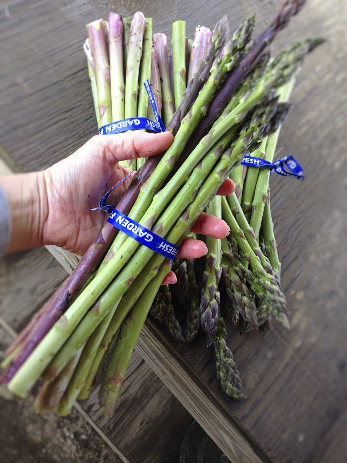 About us - Balsam Farms
