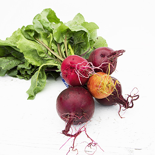 Mixed Beets - Wholesale – Balsam Farms